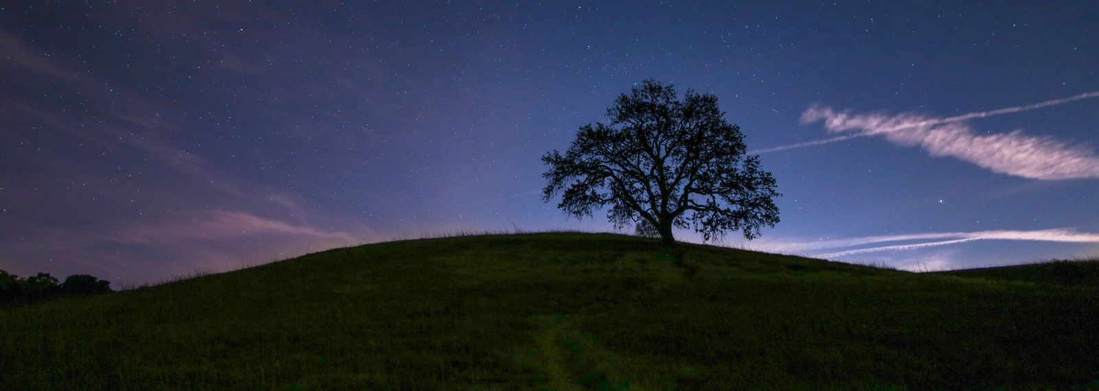 Quick Facts - Templeton Prize