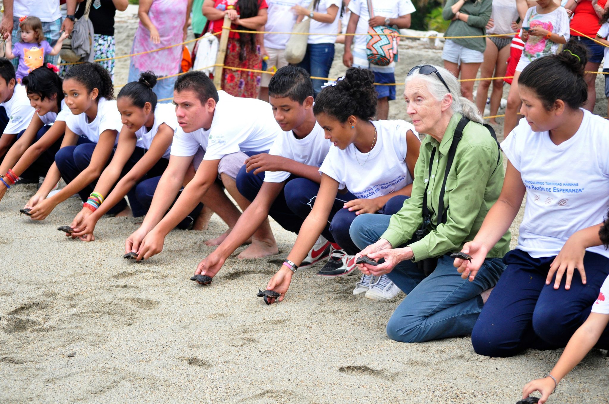 Celebrating a Life of Purpose: Dr. Jane Goodall, Winner of the 2021 ...